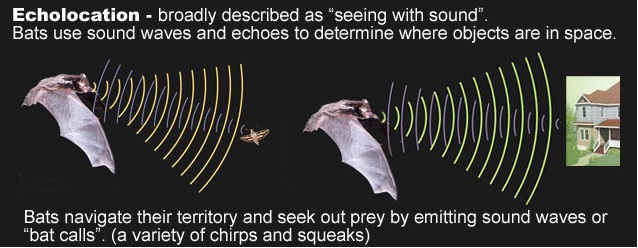 Ultrasound – Concept Research Foundation